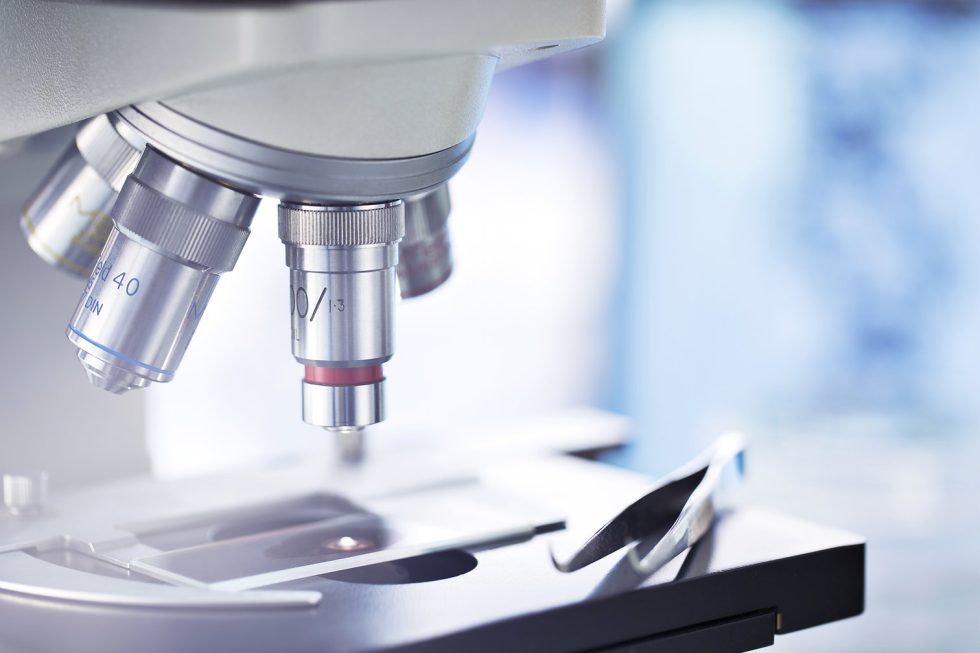 Live Blood Analysis | Effective Health Solutions